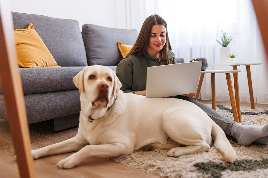 More Flexibility, Employer Support Helps Women Thrive in the Workplace ...