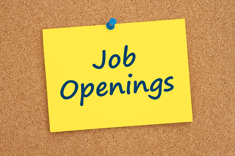 Job Openings Little Changed in June, Hires and Separations Fell